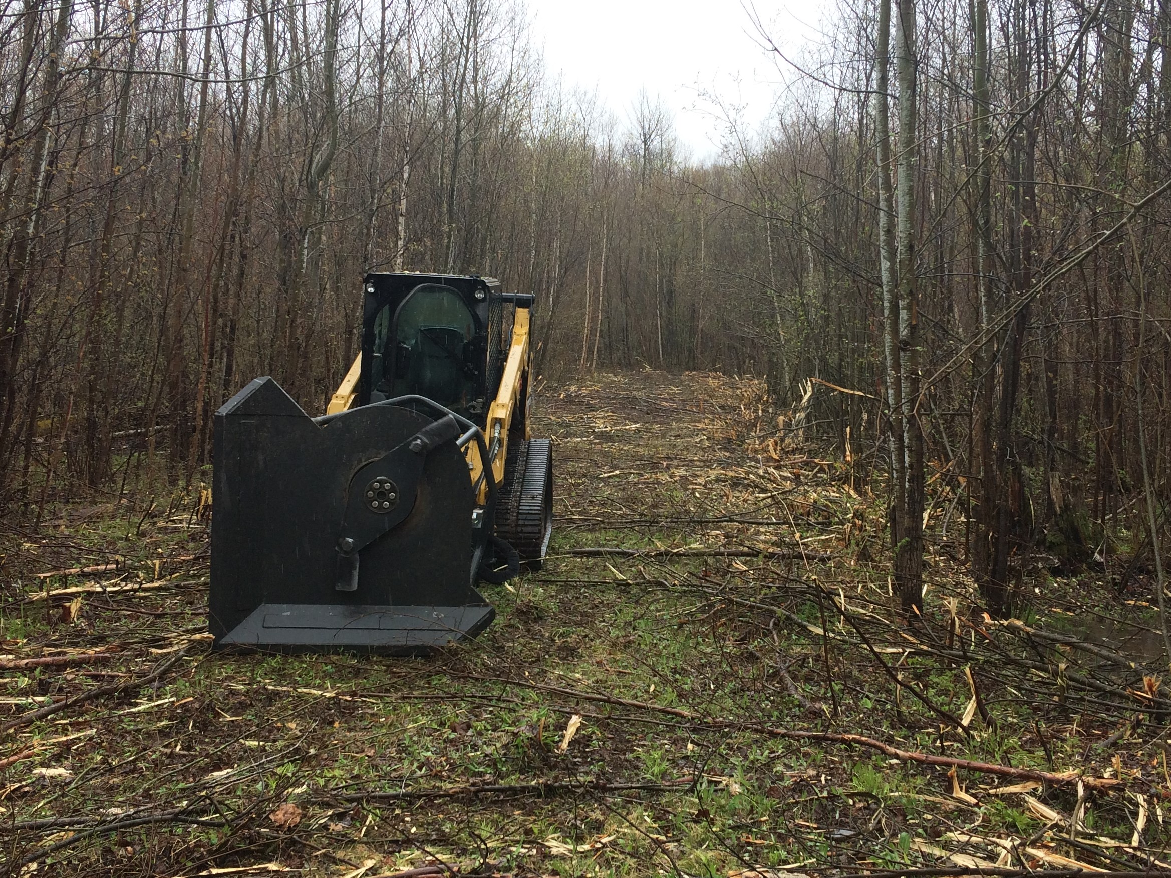 Road/Trail Maintenance